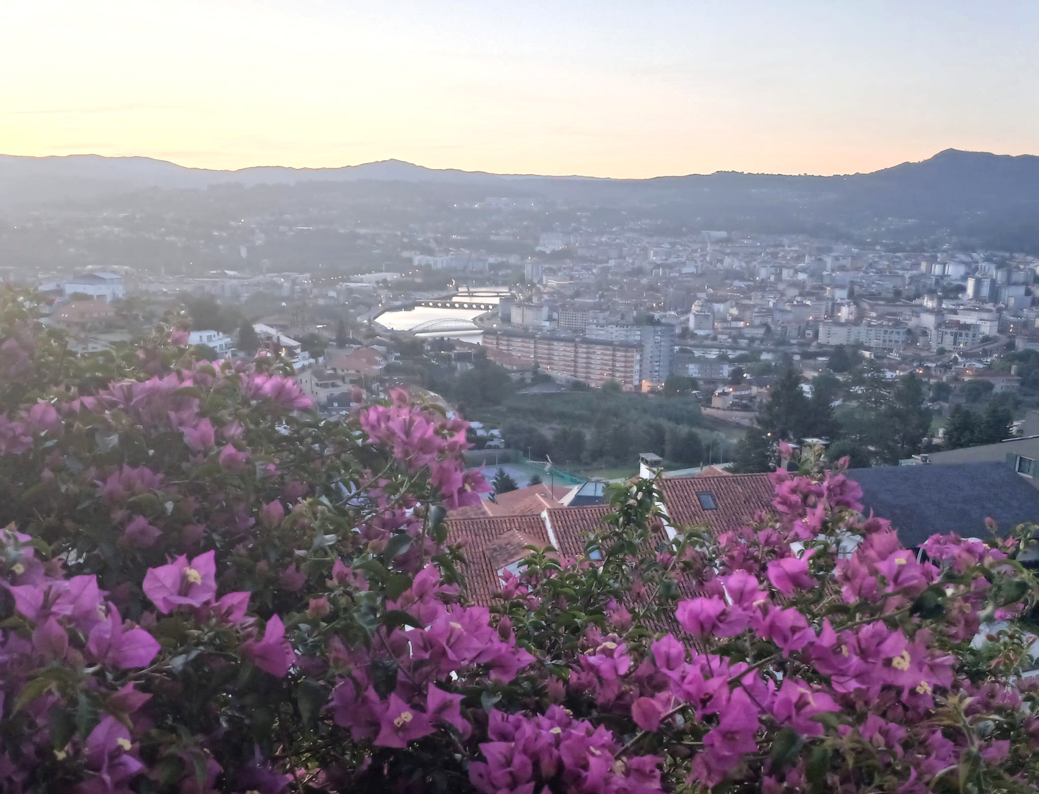 15 June 2025 – Thoughts from Pontevedra, Galicia, Spain