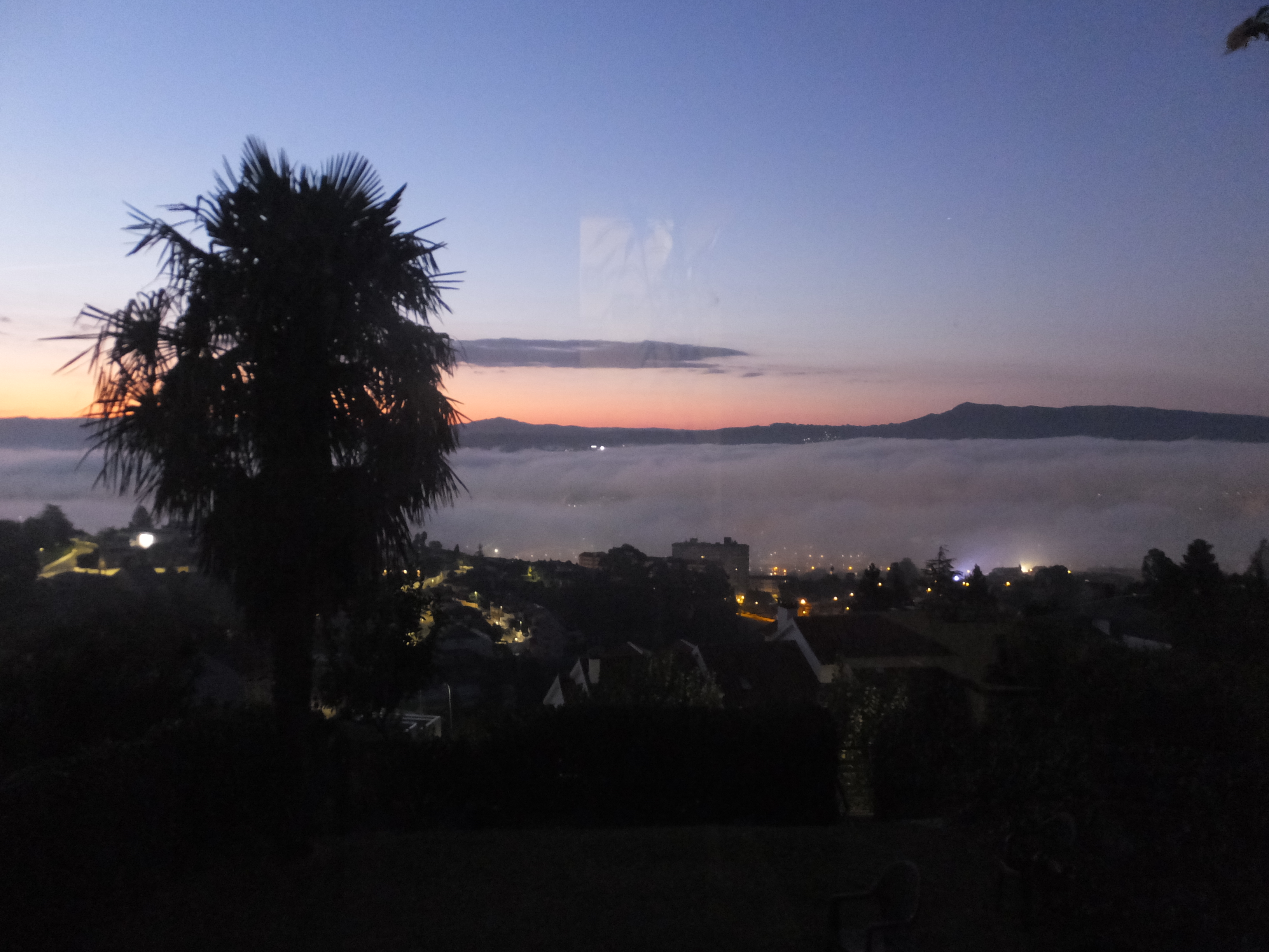 22 January 2026 – Thoughts from Pontevedra, Galicia, Spain
